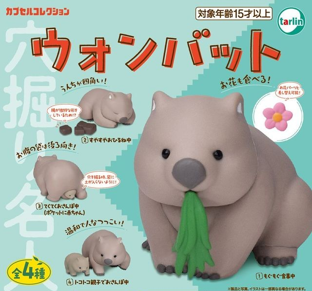 Wombat complete set – Gacha Gacha
