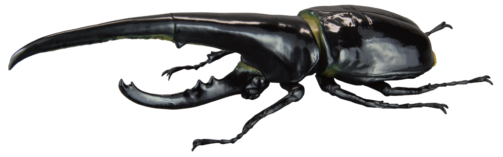 Hercules Beetle Ver2.0 Complete set – Gacha Gacha