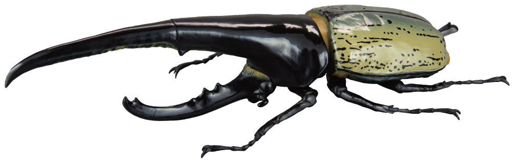 Hercules Beetle Ver2.0 Complete set – Gacha Gacha